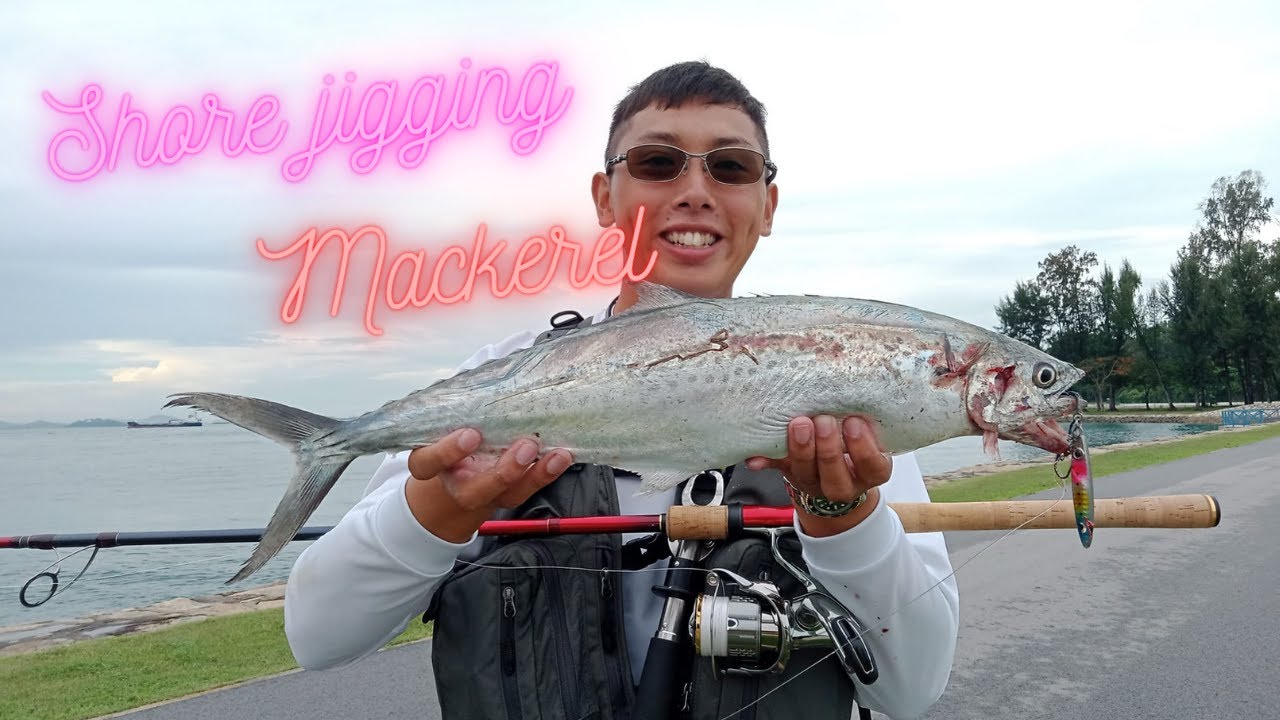 Shore jigging for Mackerel in St John's island Singapore - YouTube