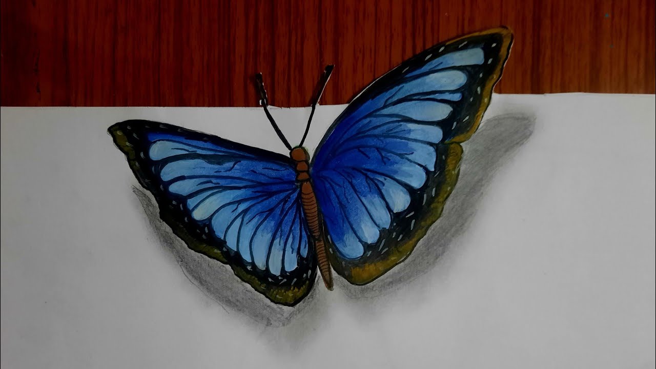 3d butterfly drawing art with watercolour #3d #3ddrawing #butterfly # ...