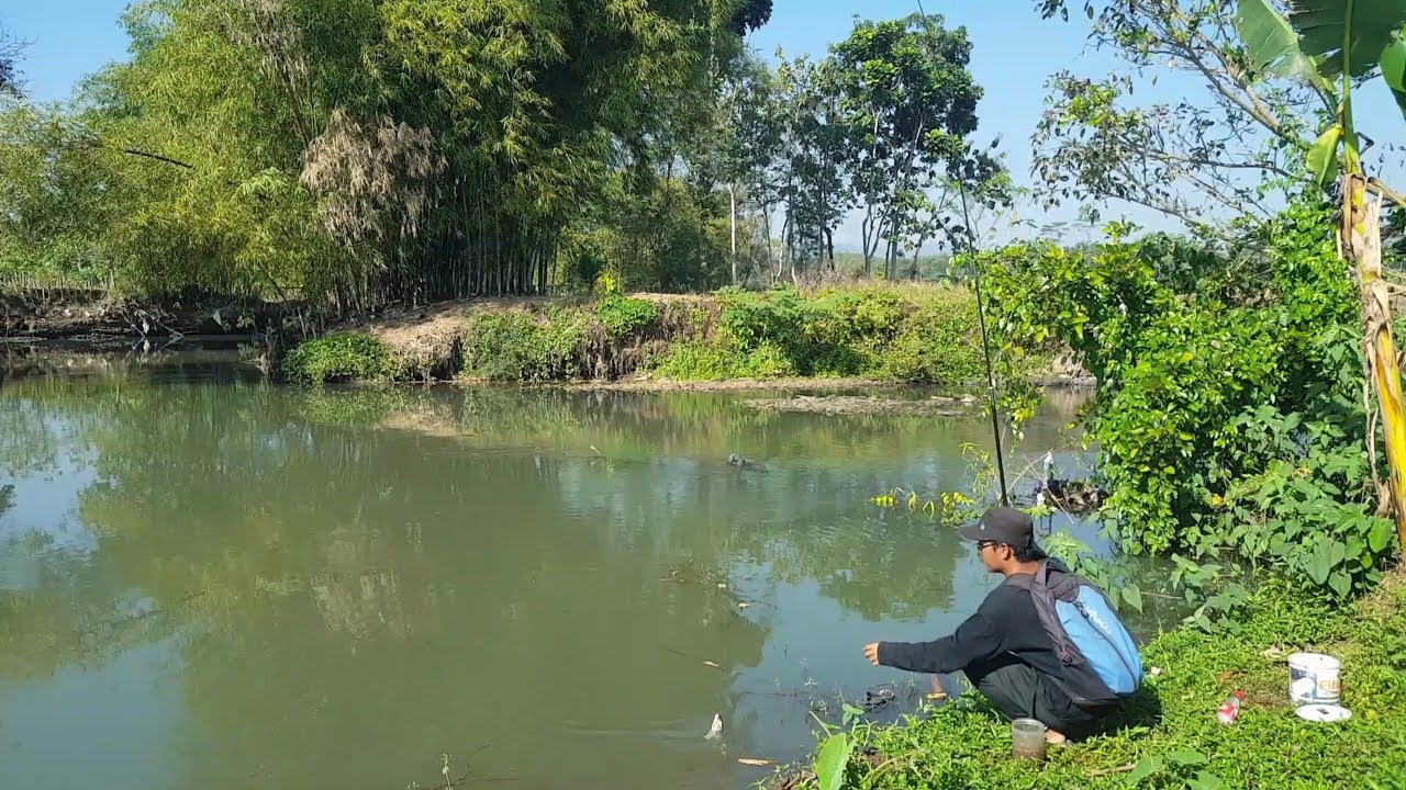 DAPAT IKAN BACEMAN / BAUNG JARI SAYA SAMPAI TERTUSUK . - YouTube