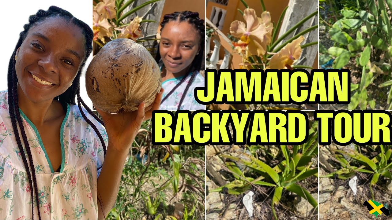 JAMAICAN BACKYARD TOUR - YouTube