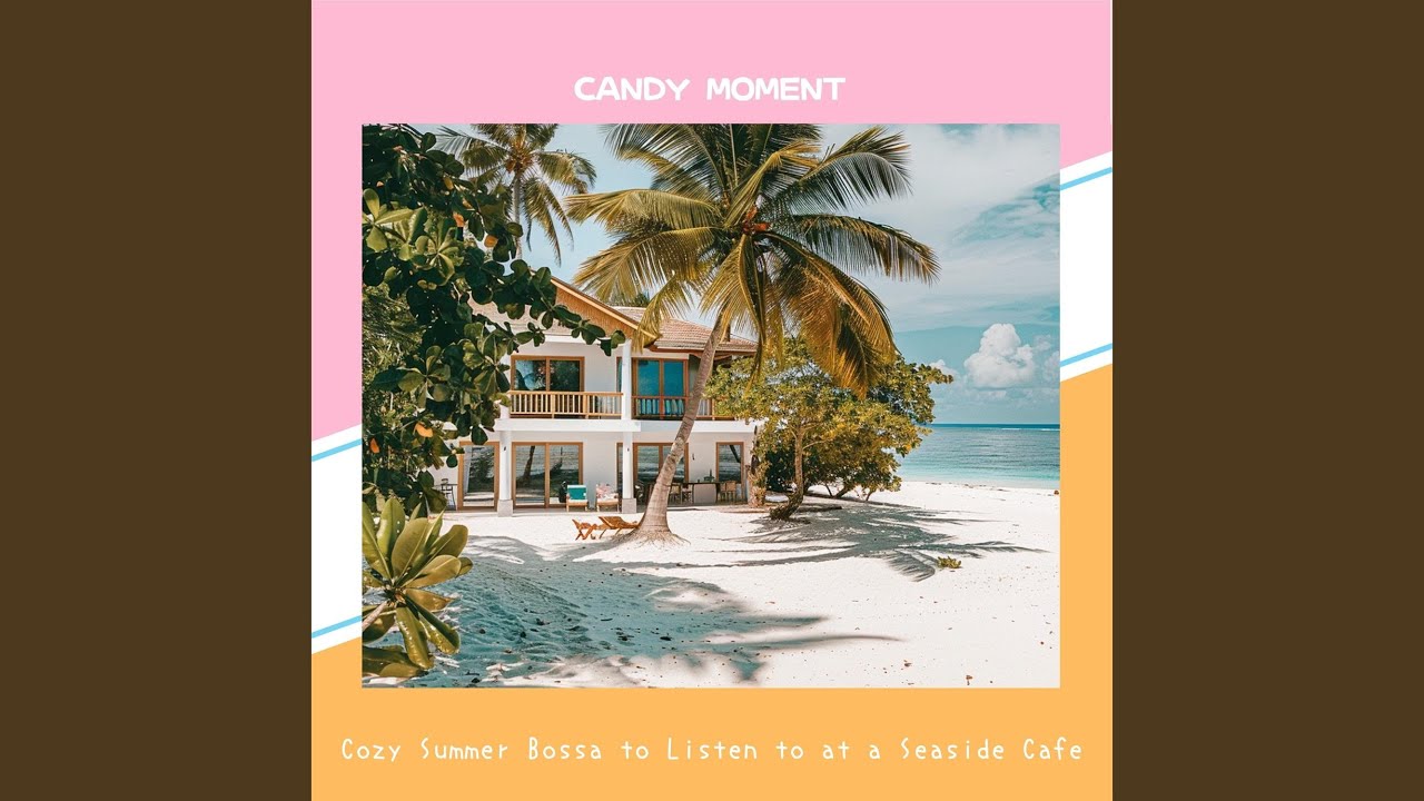 Solitary Seashell Walk - YouTube