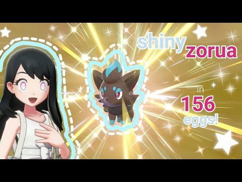 ♡ SHINY ZORUA - in 156 eggs! (pokemon sword) ♡