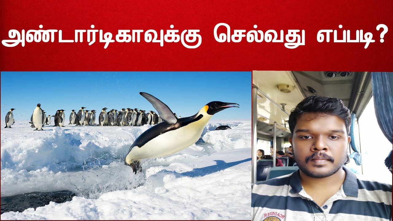 HOW TO GO TO ANTARCTICA FROM INDIA NO VISA COLDEST PLACE ON EARTH how-to-go-to-antarctica-from-india-no-visa-coldest-place-on-earth