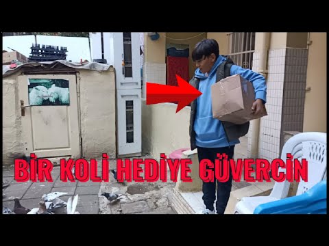 Muhammed Geldi Bir Koli Hediye Güvercin Getirdi ( Kutunun İçinde )
