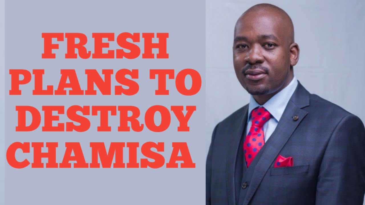 Attempt on Chamisa Political future by Chin'ono sponsored by ZANU ...