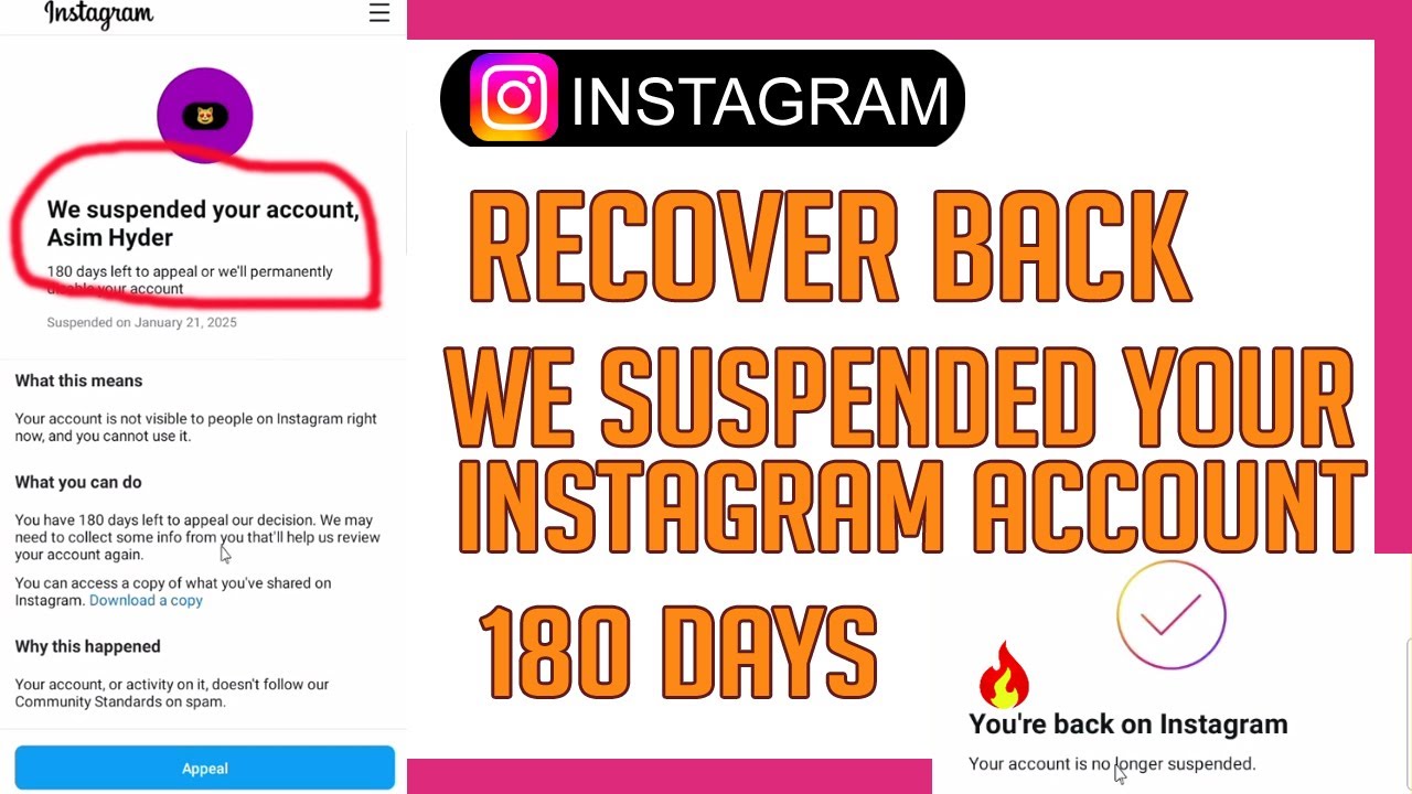 How To Recover Instagram Account Back | We Suspended Your Account ...