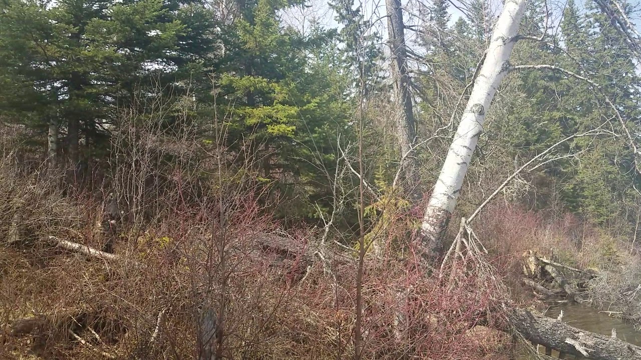 Carson lake Alberta - YouTube