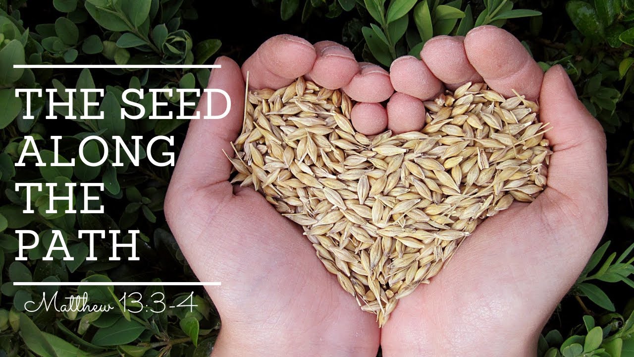 The Seed Along the Path | A Lesson from the Parable of the Sower ...
