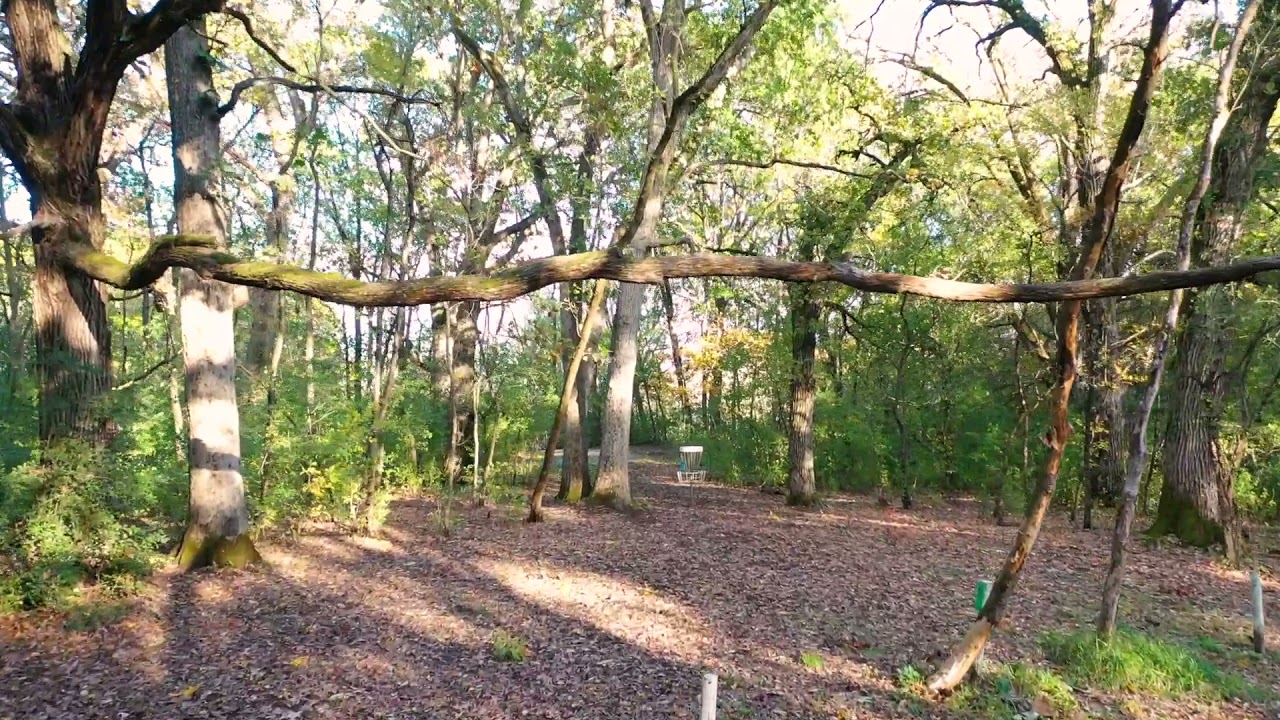 Disc Golf White Course Hole 11 - YouTube