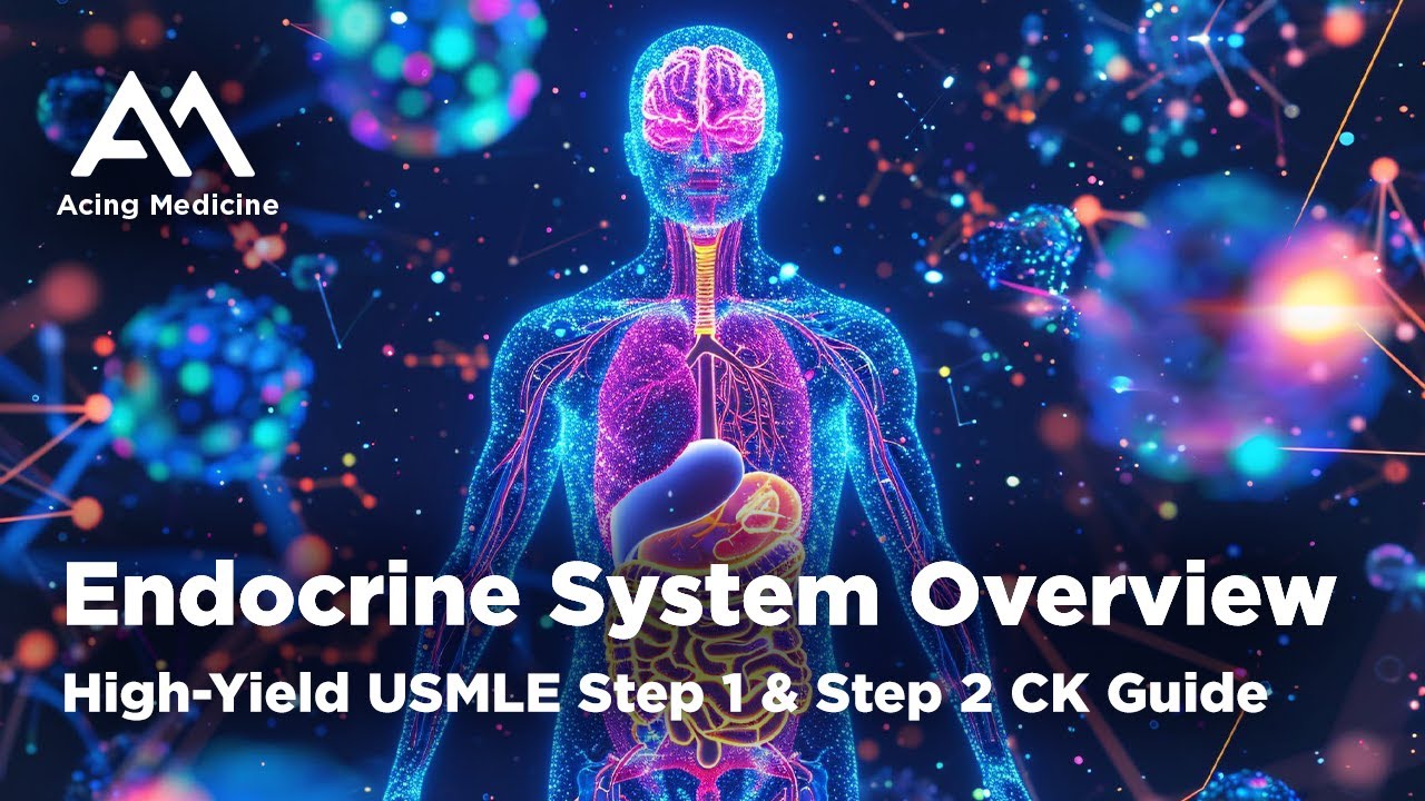 Endocrine System Overview | High-Yield USMLE Step 1 & Step 2 CK Guide ...