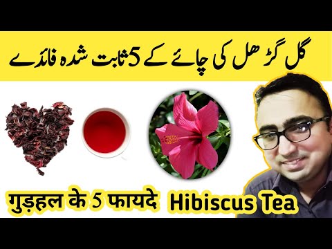 Hibiscus Tea - Top 5 Scientifically Proven Benefits of Hibiscus Tea