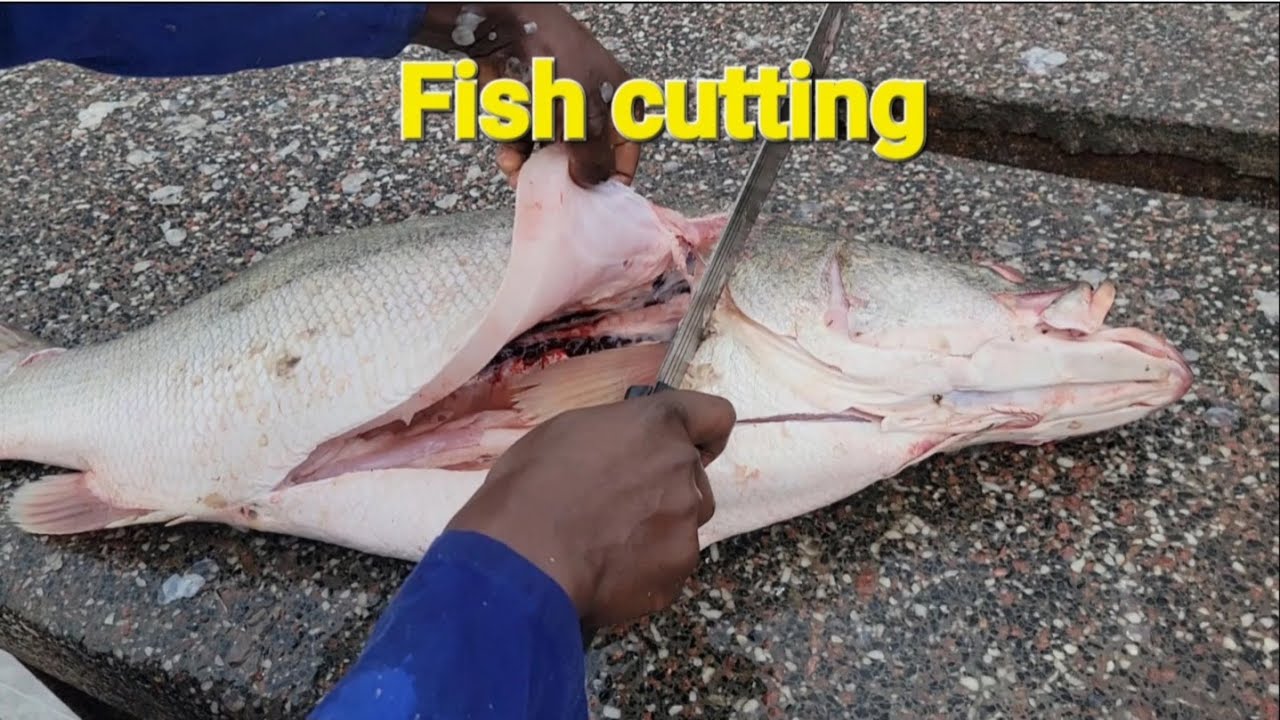 FISH CUTTING# Ggaba fish landing site# Uganda - YouTube