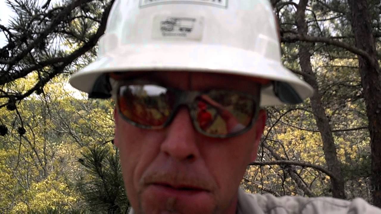 Tree Climbing Training - YouTube