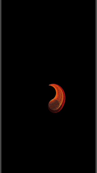 The Amazing Design By Using Pydroid Python Programming Viralvideo Coding Mrbombasticbomba