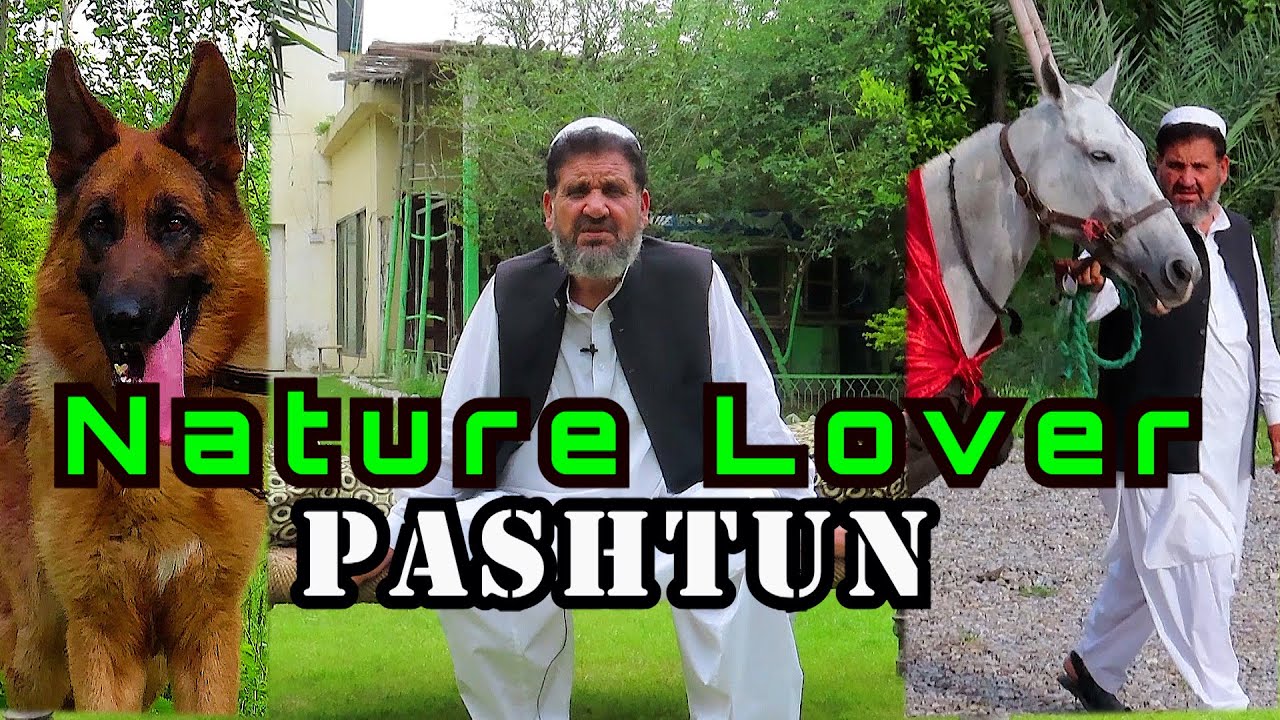 Meet Sadat Khan: A Peaceful Pashtun with a Passion for Nature and ...
