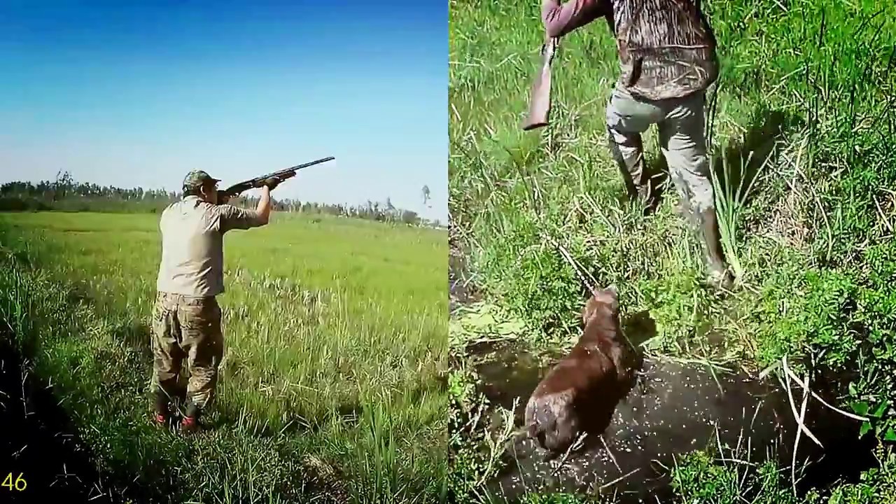 Snipe Hunting 2017 - YouTube