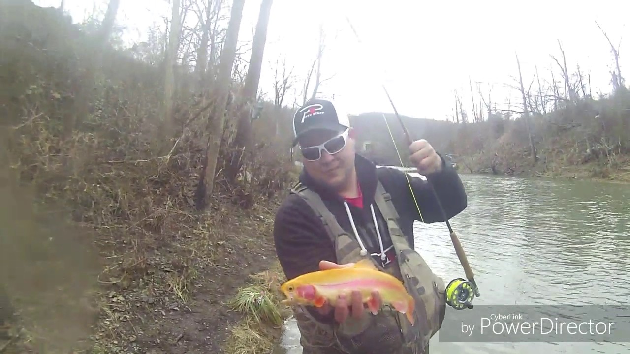 trout fishing greene county 12/26/2016 - YouTube