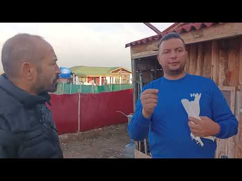 alan kuş ucurur