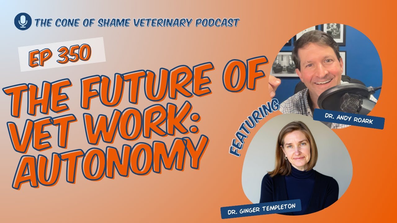 350 - The Future of Vet Work: Autonomy - YouTube