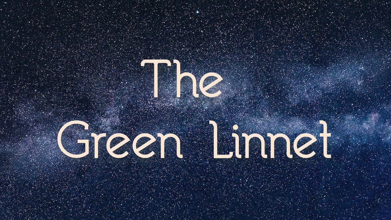 May 9 - The Green Linnet - YouTube