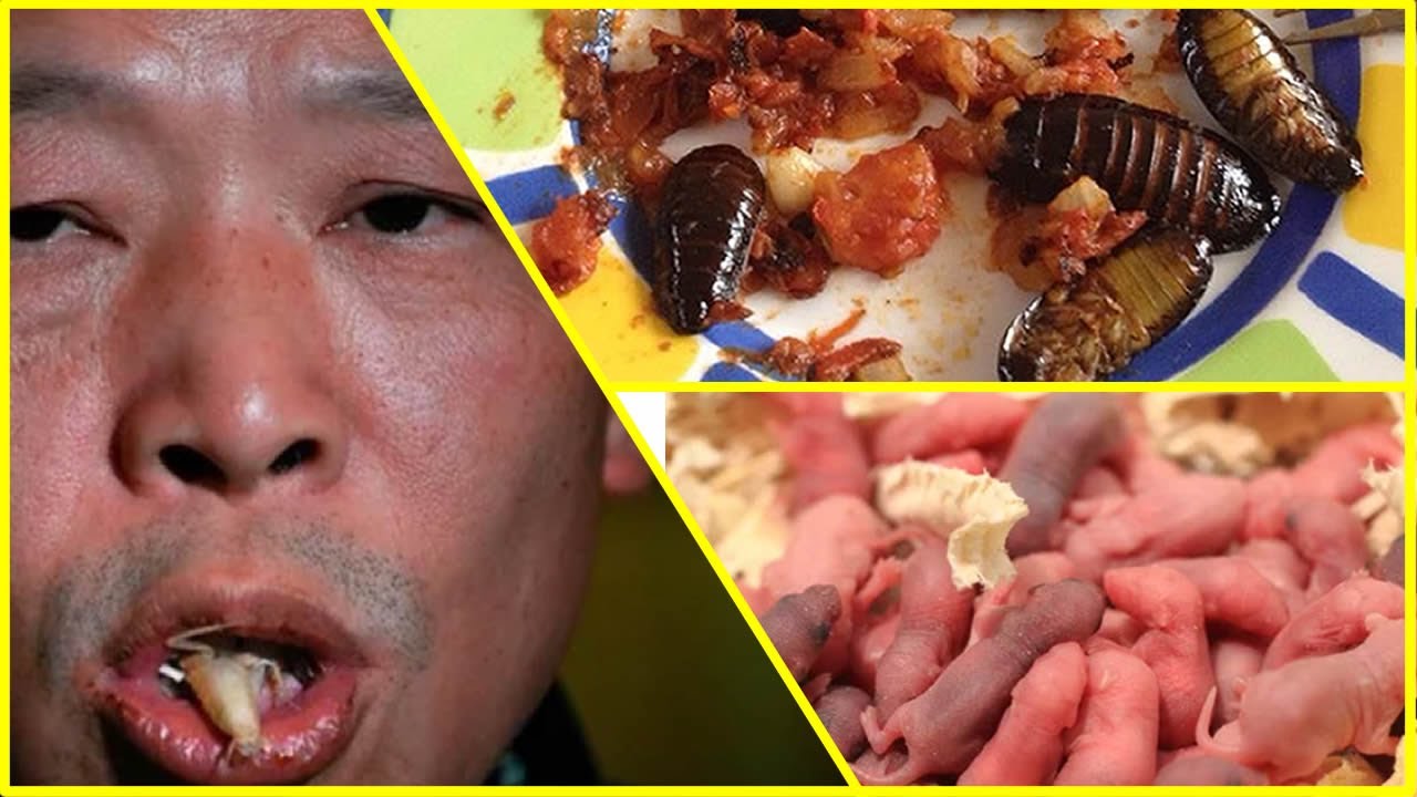 7 comidas más asquerosas 🤮 | w express - YouTube
