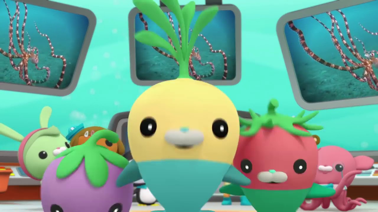 Octonauts: Creature Report - Octopus - YouTube