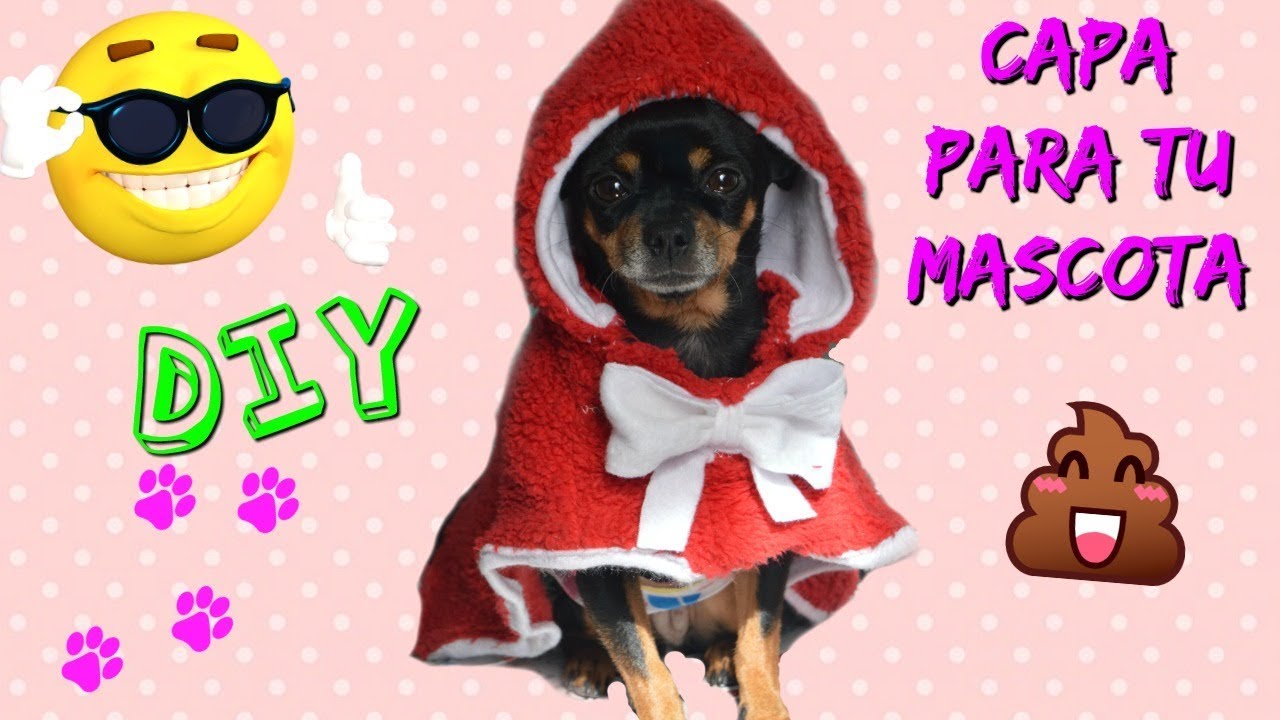 COMO HACER UNA CAPA PARA PERRO/CURIOSIDADES DE GINA - YouTube