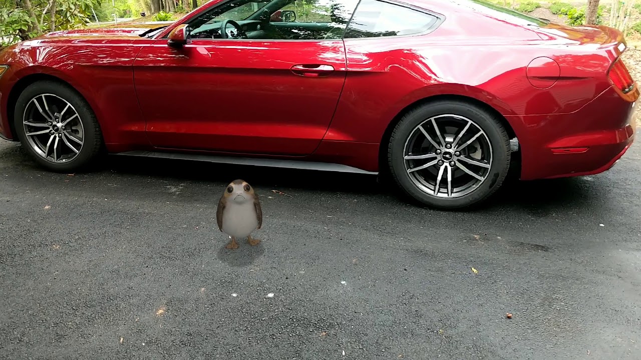 A Porg in Real Life! - YouTube