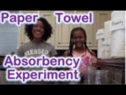 Which Paper Towel Brand Absorbs The Most Water - YouTube
