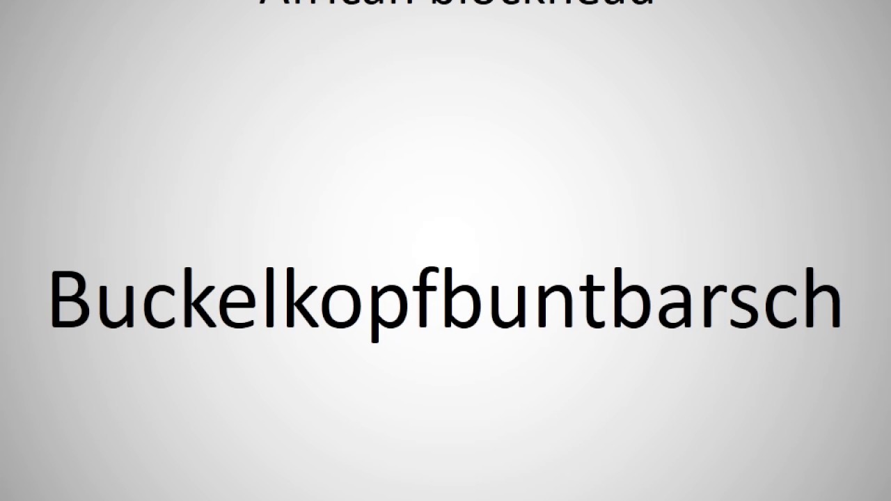 How to say African blockhead in German? - YouTube