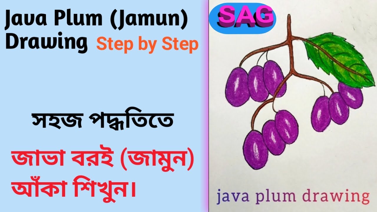 How to draw Very Easy Java Plum Jamun Drawing Step by Step. - YouTube