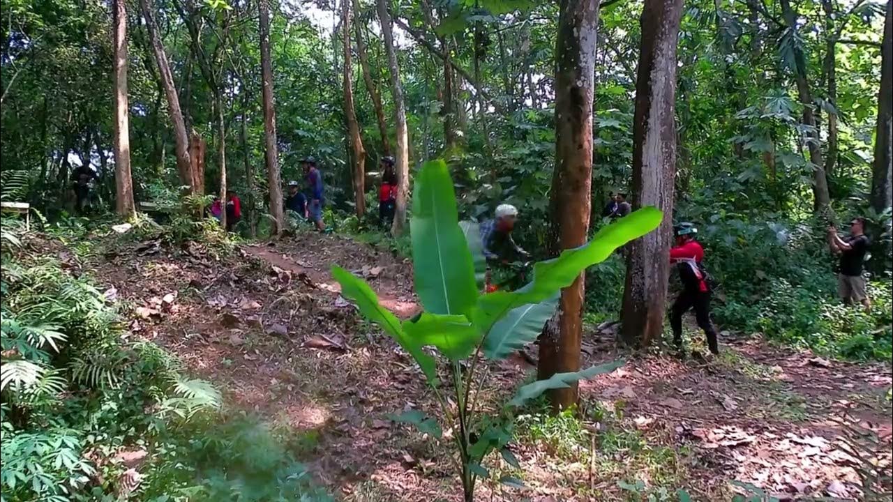 Keseruan gowes bareng anak2 SBC Hutan UI - YouTube