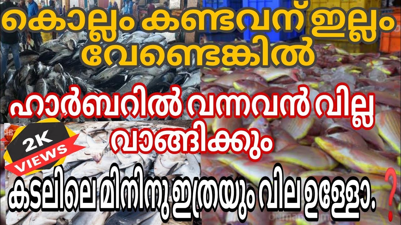 #153 പകൽ കൊള്ള / NEENDAKARA HARBOUR / #keralafishing #fishing - YouTube