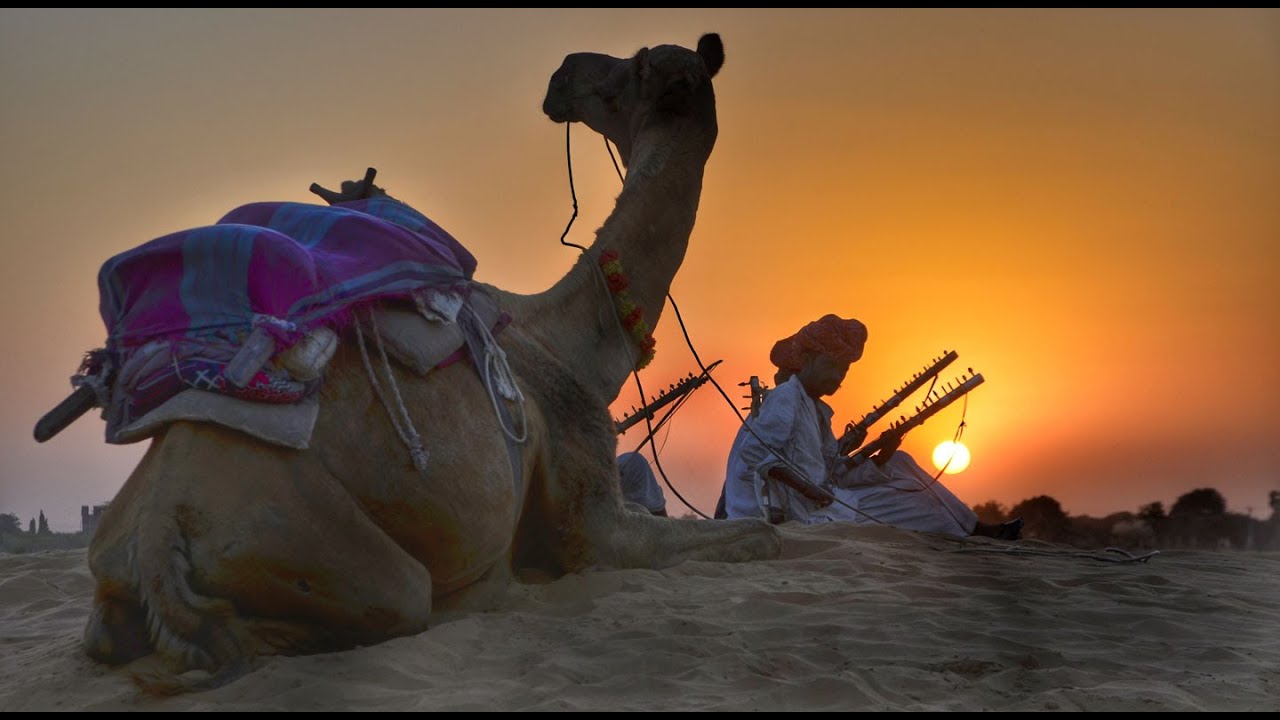 Cammello stanco (Marocco) - YouTube