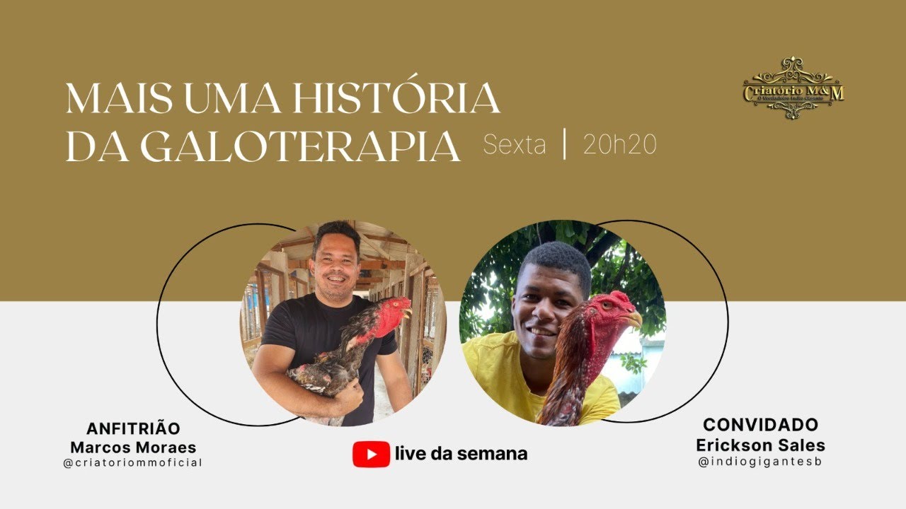 Live Com Erickson Sales (Índio Gigante SB) - YouTube
