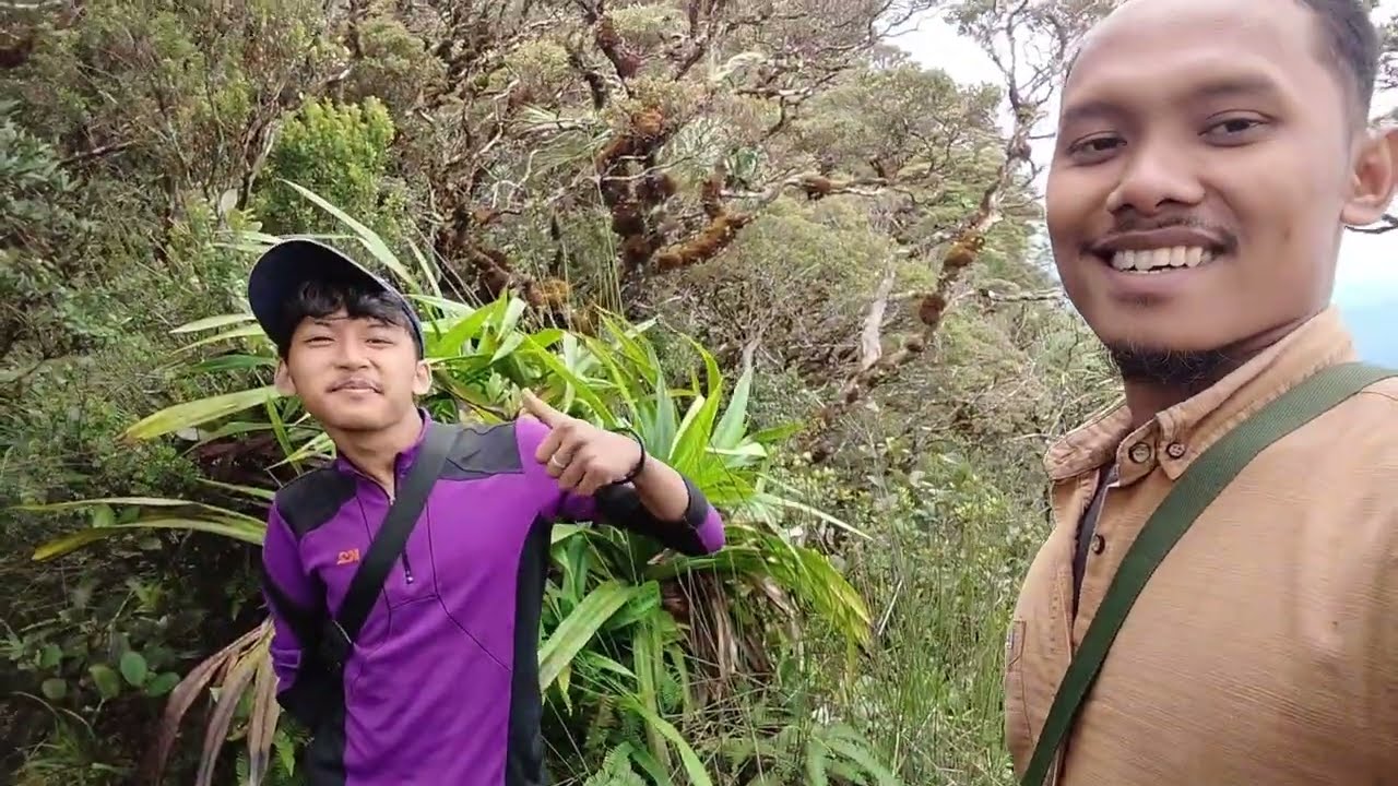 GUNUNG PASAMAN #6 - Pasaman Barat, Sumatera Barat 🇮🇩 - YouTube