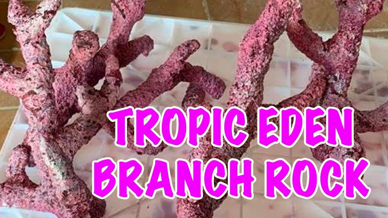 NEW Tropic Eden Morroca - Regular Branch Reef Rock - YouTube