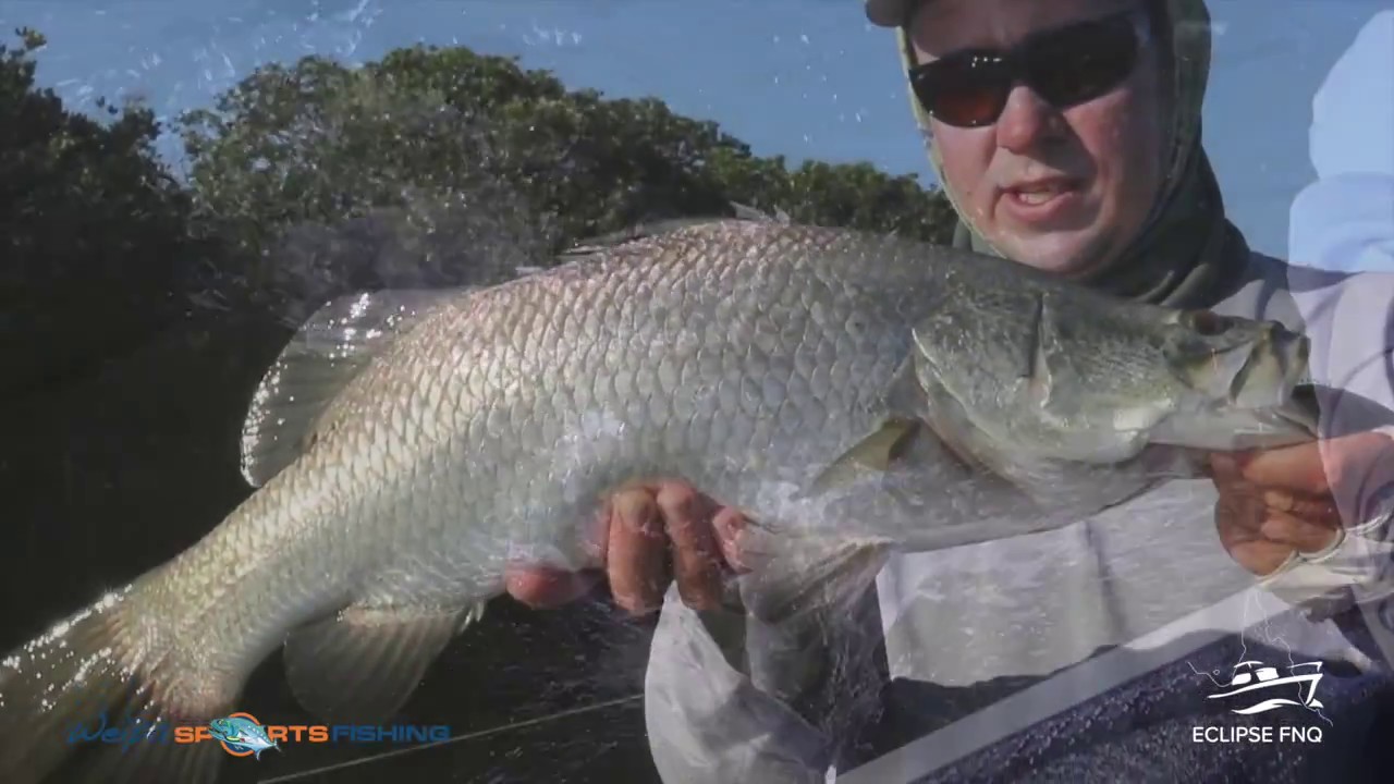 Eclipse FNQ and Weipa Sport Fishing mothership charters Cape York - YouTube
