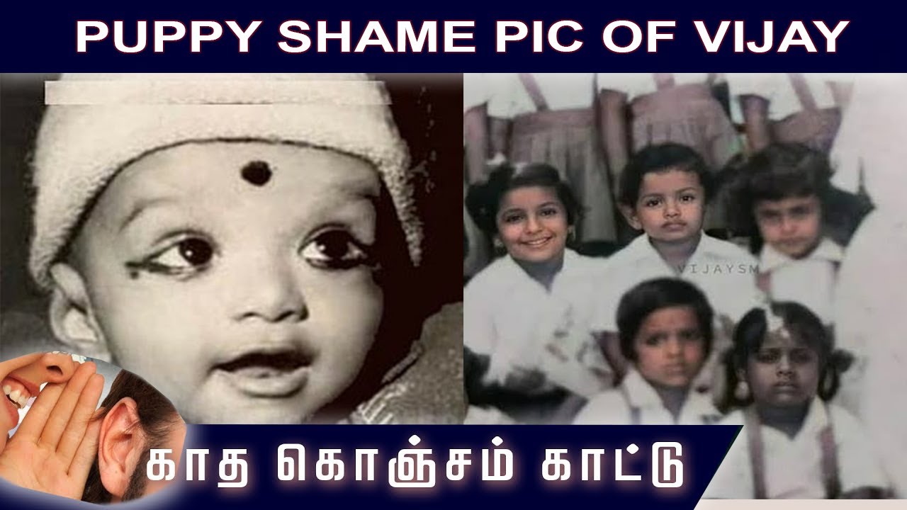 Puppy Shame Pic Of Vijay Tamil Cinema News RajTube YouTube Puppy Shame Pic Of Vijay Tamil Cinema News RajTube YouTube