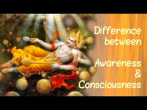 What is the Difference between Awareness & Consciousness? - YouTube