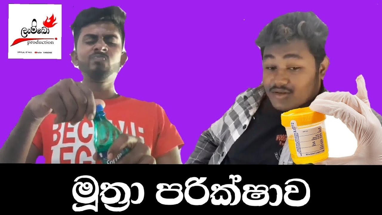 මූත්‍රා පරික්ෂාව 😉🤣 youriya report .. - YouTube