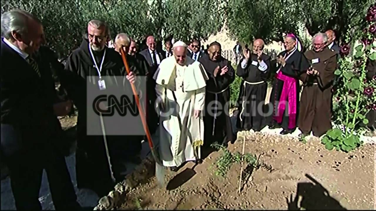 POPE PLANTS OLIVE TREE AT THE MOUNT OF OLIVES - YouTube