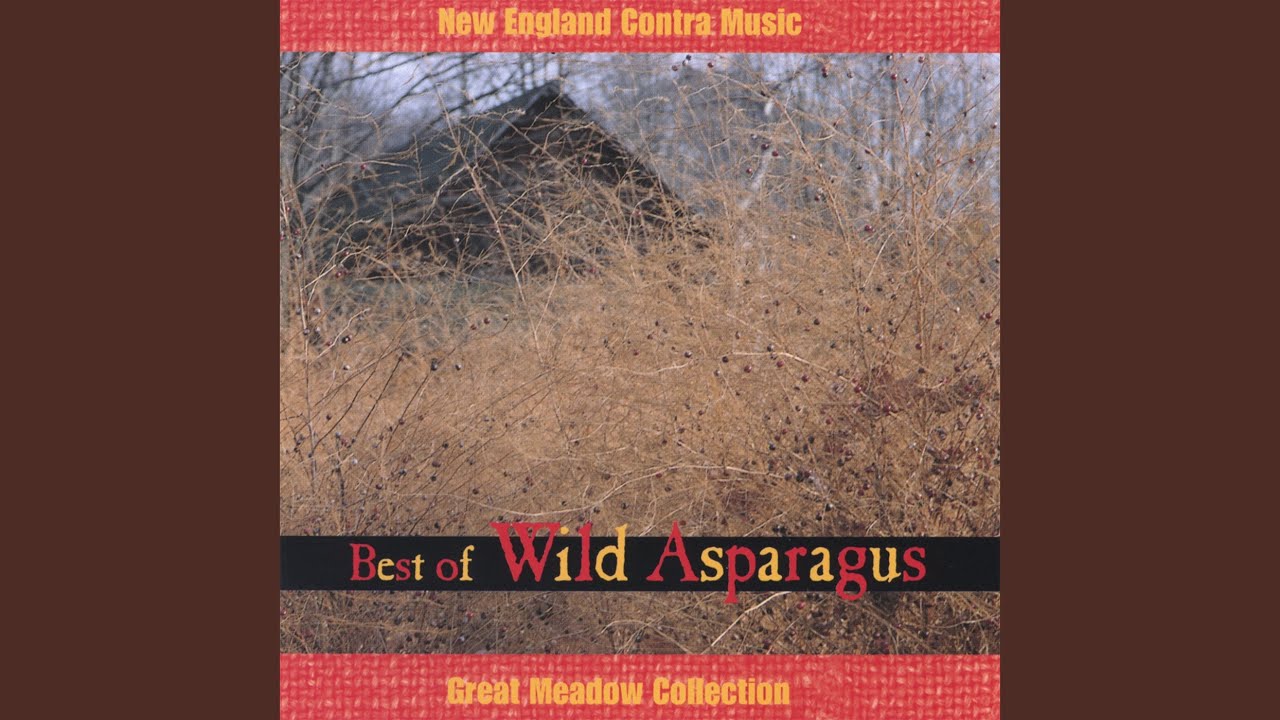 Mooncoin Jig/ Whelan's - YouTube