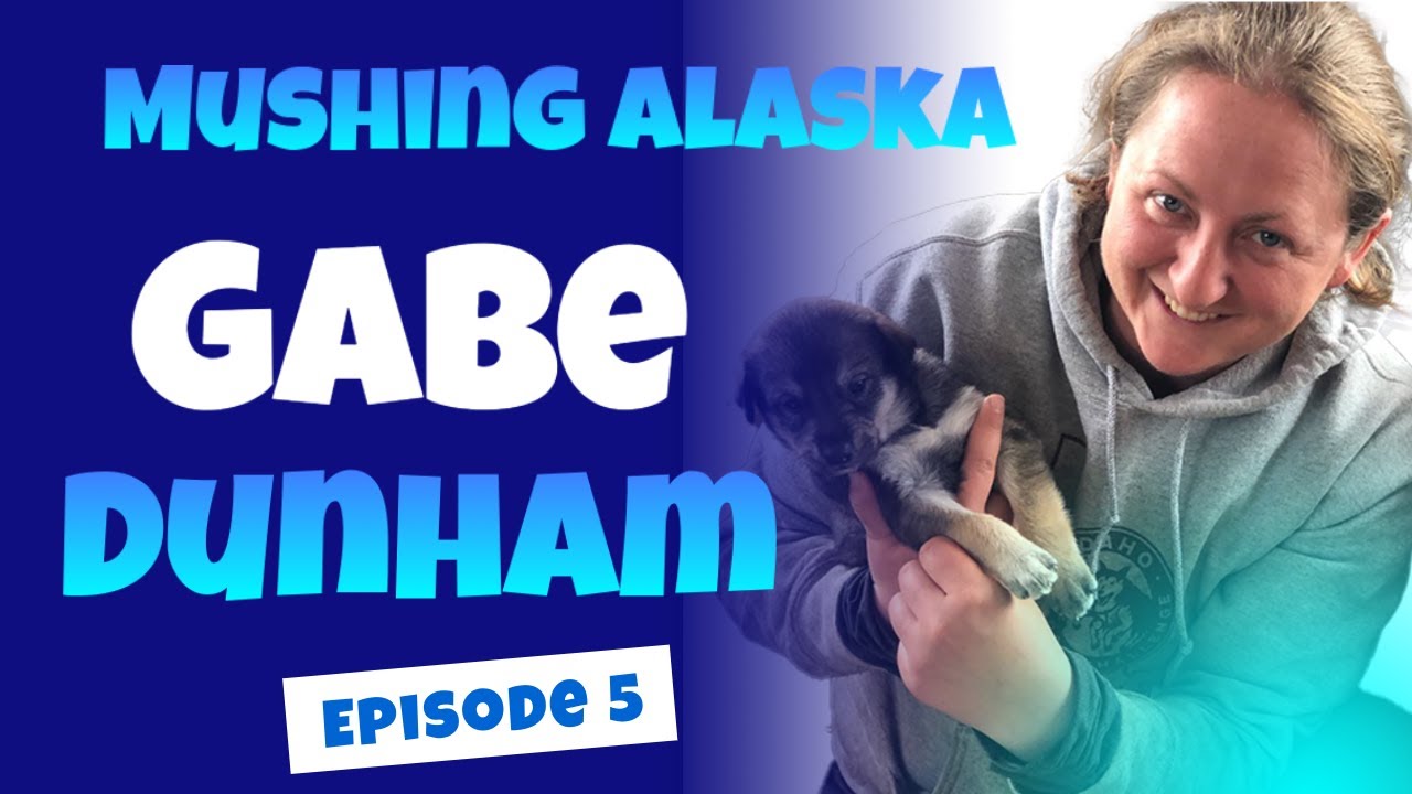 Episode 26 - Gabe Dunham | Mushing Alaska - YouTube
