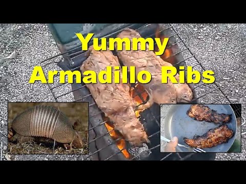 Cooking Armadillo On The Rocket Stove - YouTube