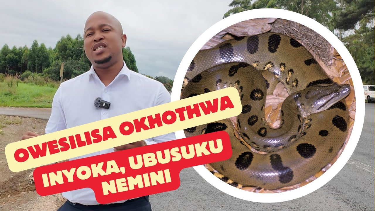 Owesilisa Olala Nenyoka, Umawengane unosathanezimu, Ingane yabo ...