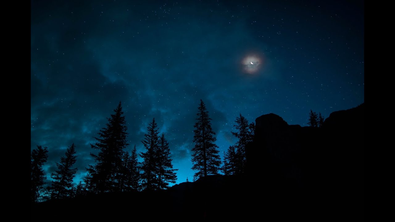 Nature Sounds for Sleeping | Night Time Ambience Night 3 | Sleep Well 🌙 ...