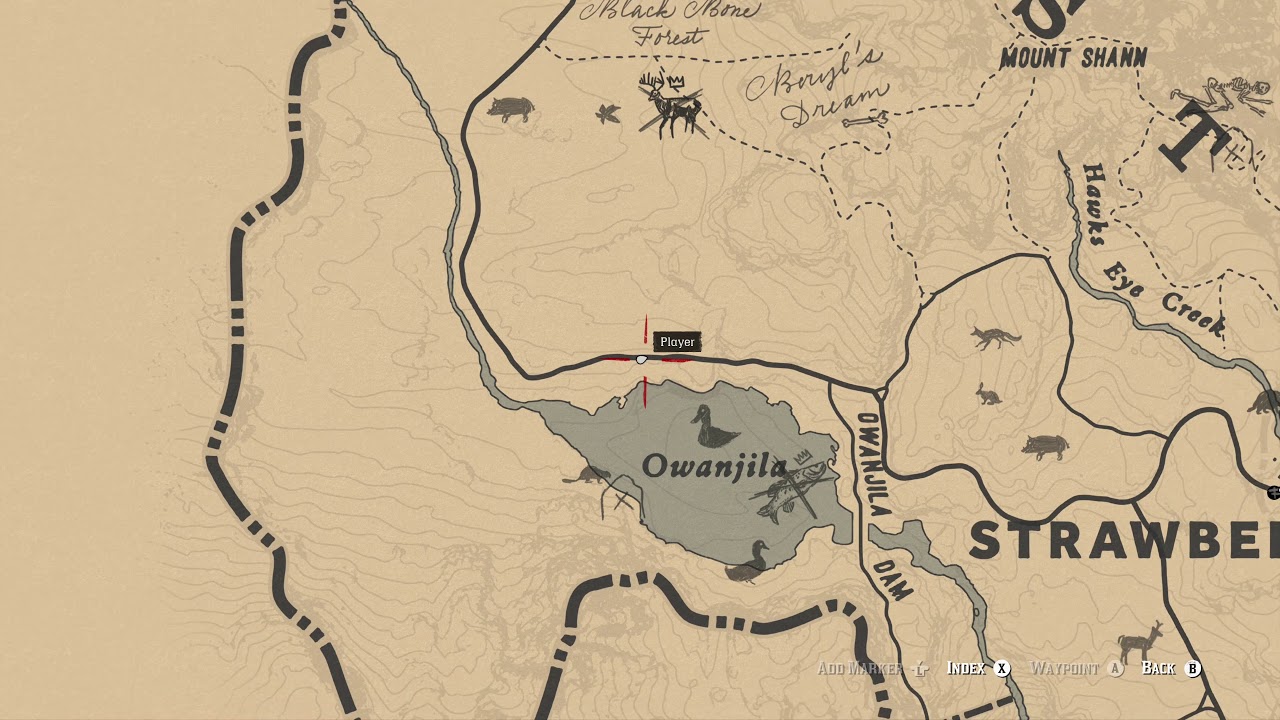 RDR 2: Getting a perfect Beaver for Wildlife Art Exhibition V [Spoilers ...