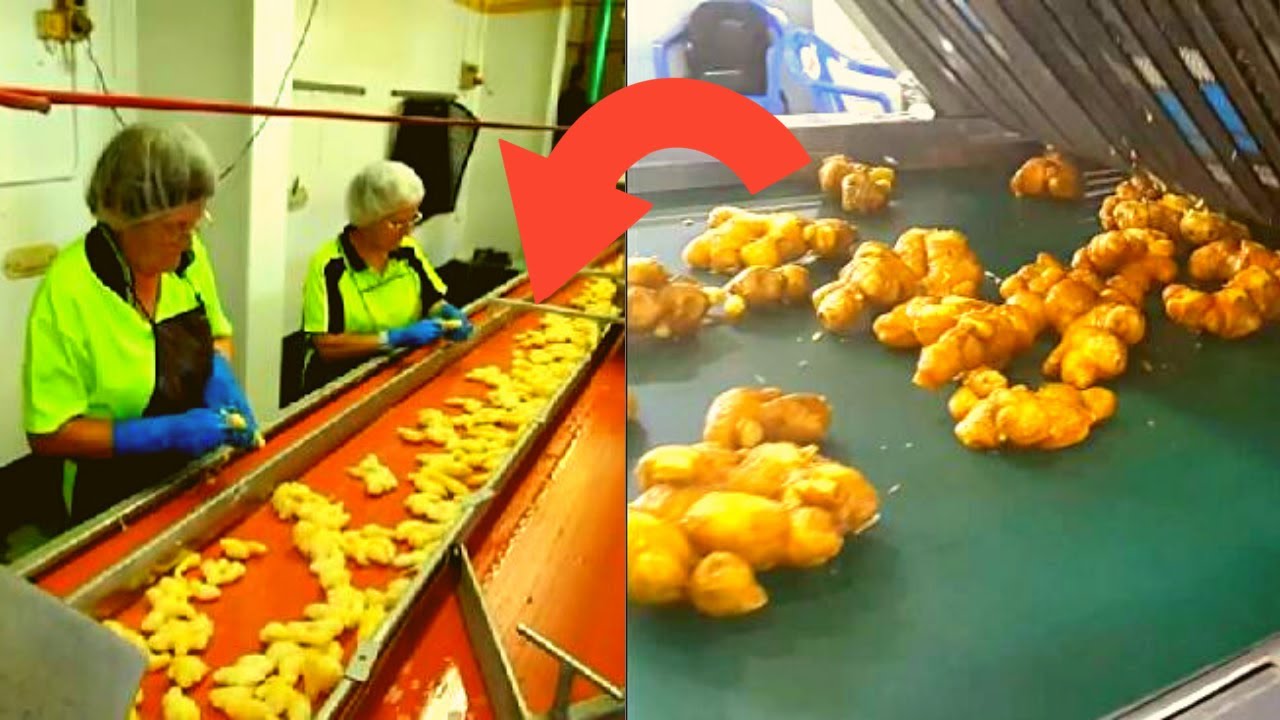 Amazing Modern Ginger Process Factories You Must Watch | How Its Made ...