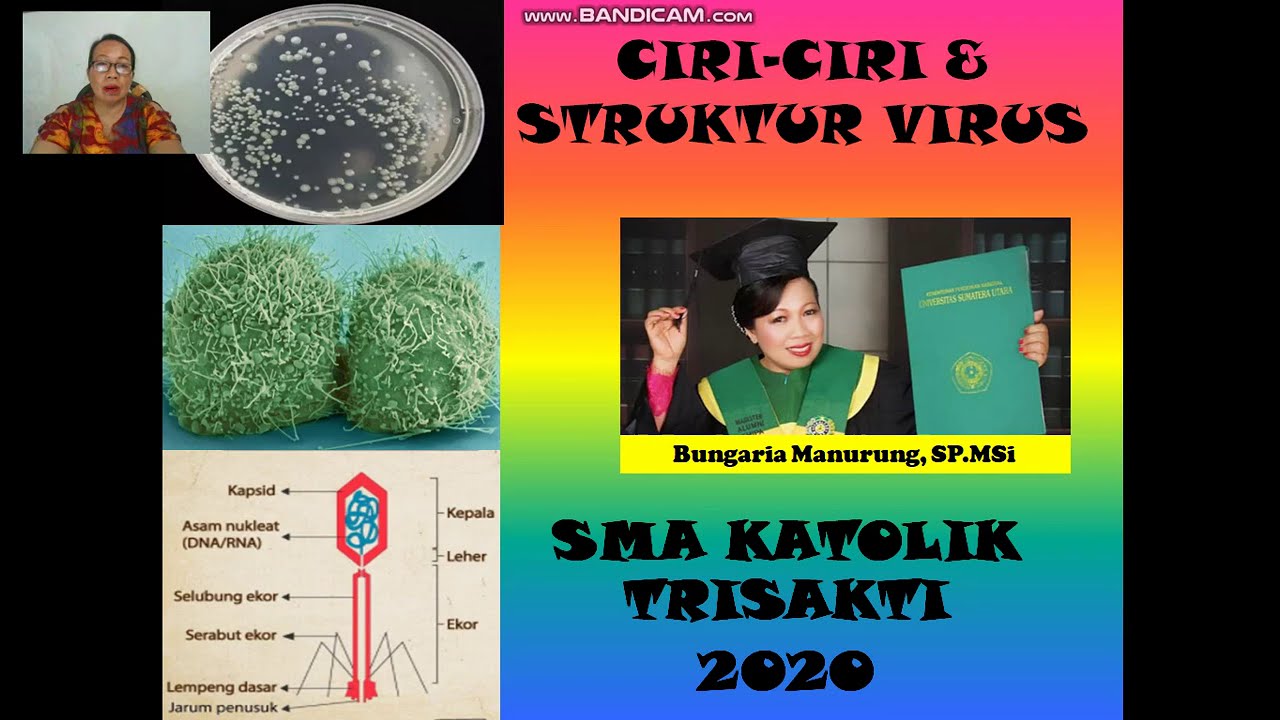 CIRI DAN STRUKTUR VIRUS - YouTube